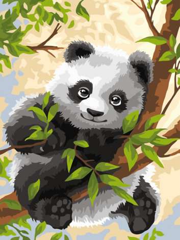 Malen nach Zahlen "Panda", 30 x 40 cm online kaufen | buttinette Bastelshop